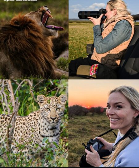From Slopes to Safaris: Lindsey Vonn Nails Wildlife Photography Like a ...